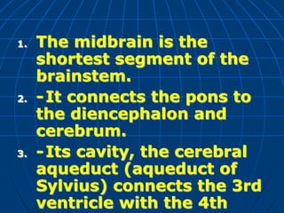 Anatomy of hind brain (mid brain,pons & medulla | PPT