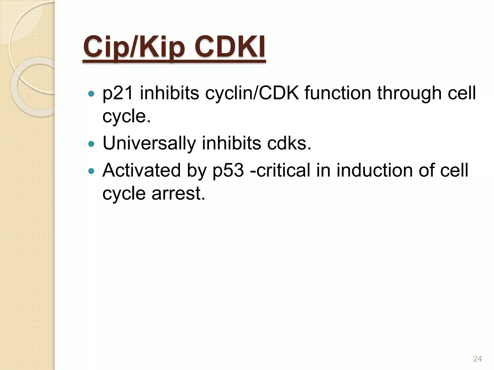 Regulation of Cell cycle- by Chinmayi Upadhyaya | PPTX