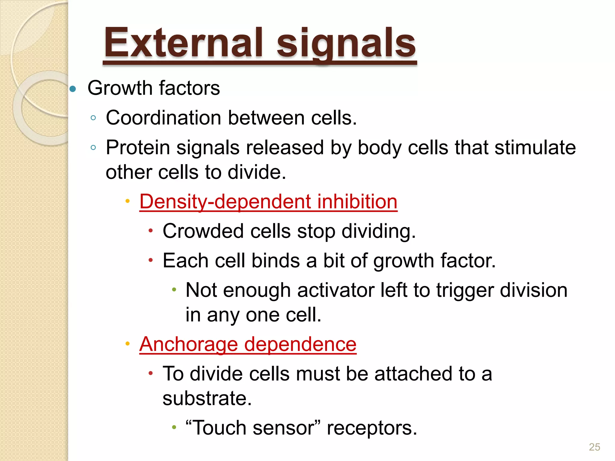 Regulation of Cell cycle- by Chinmayi Upadhyaya | PPTX | Biological ...