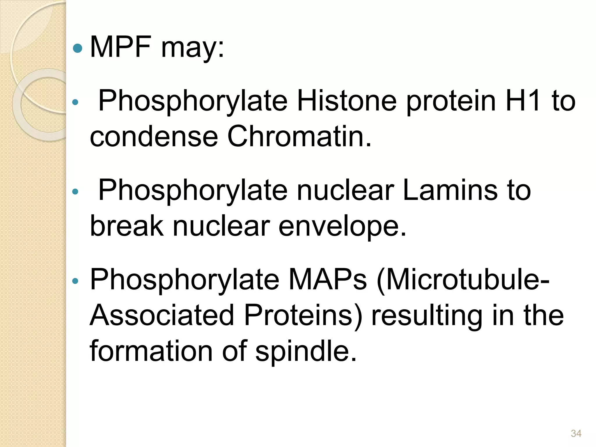 Regulation of Cell cycle- by Chinmayi Upadhyaya | PPTX