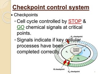 Regulation of Cell cycle- by Chinmayi Upadhyaya | PPTX | Biological ...