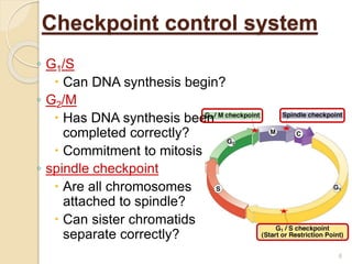 Regulation of Cell cycle- by Chinmayi Upadhyaya | PPTX
