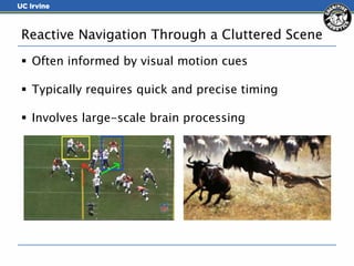 A cortical neural network model of visual motion perception for reactive navigation | PPT