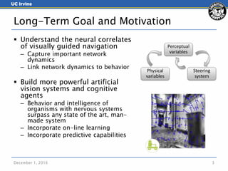 A cortical neural network model of visual motion perception for reactive navigation | PPT