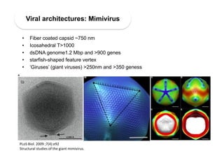 Mb viruses | PDF