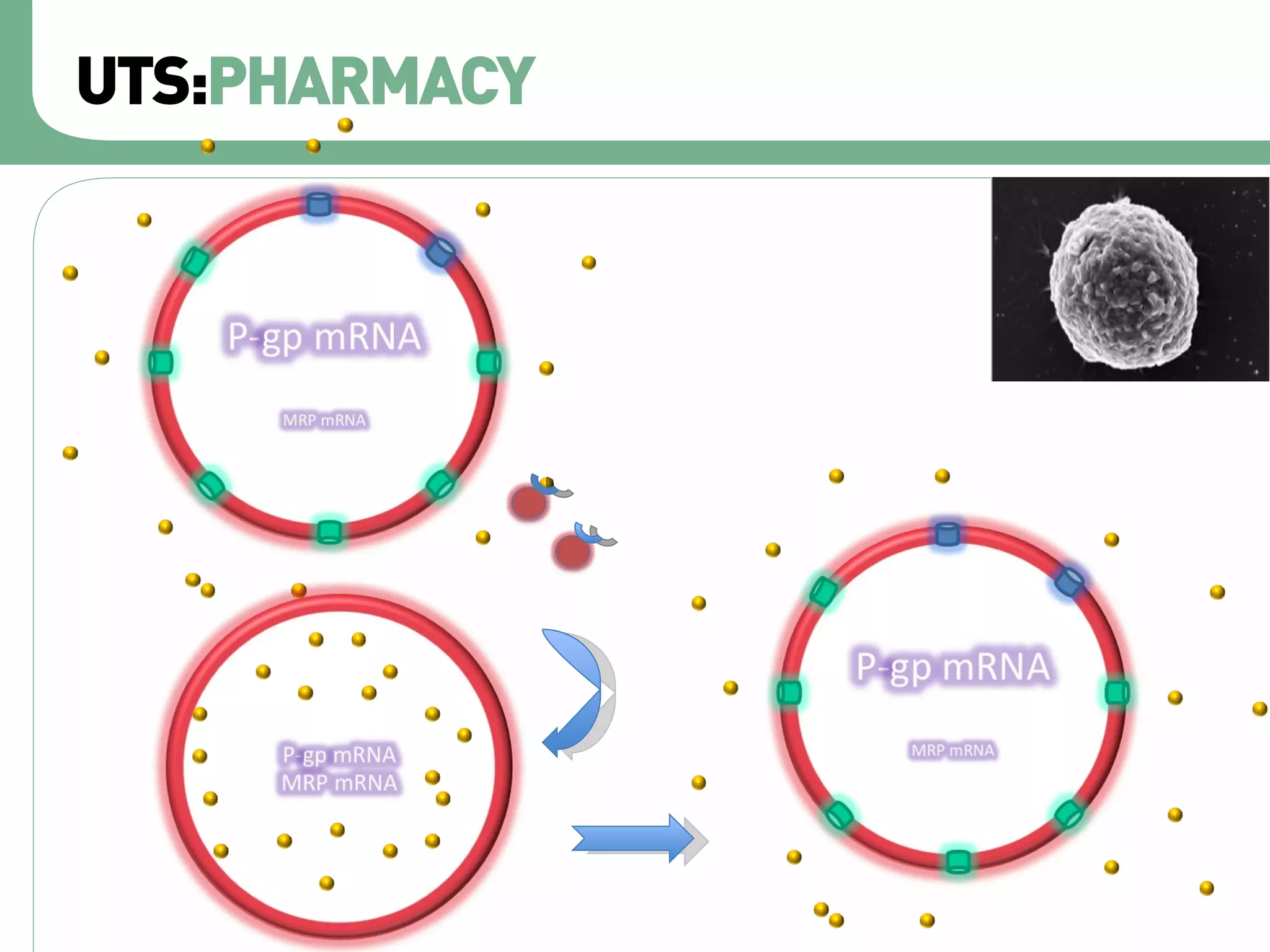 UTSpeaks: A medicated nation (Part 2: Assoc Prof Mary Bebawy) | PPT