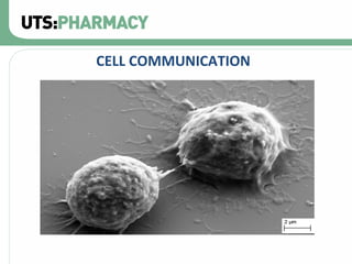 UTSpeaks: A medicated nation (Part 2: Assoc Prof Mary Bebawy) | PPT ...