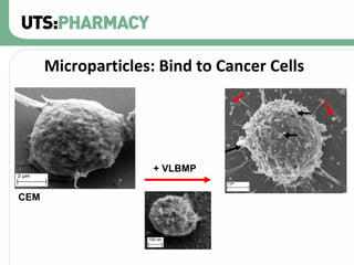 UTSpeaks: A medicated nation (Part 2: Assoc Prof Mary Bebawy) | PPT ...