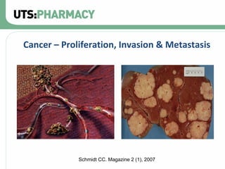 UTSpeaks: A medicated nation (Part 2: Assoc Prof Mary Bebawy) | PPT ...