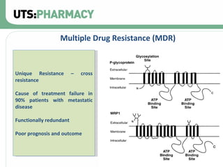 UTSpeaks: A medicated nation (Part 2: Assoc Prof Mary Bebawy) | PPT ...