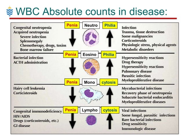 Pathology of WBC Disorders