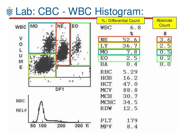 Pathology of WBC Disorders