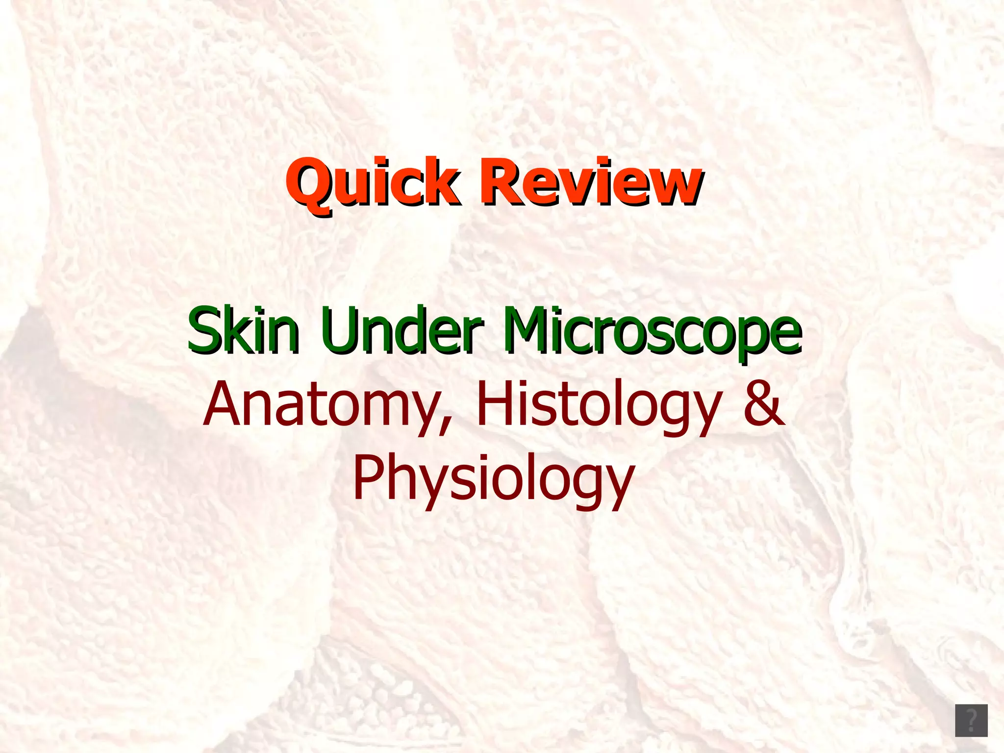 Pathology of Skin - Introduction | PPT