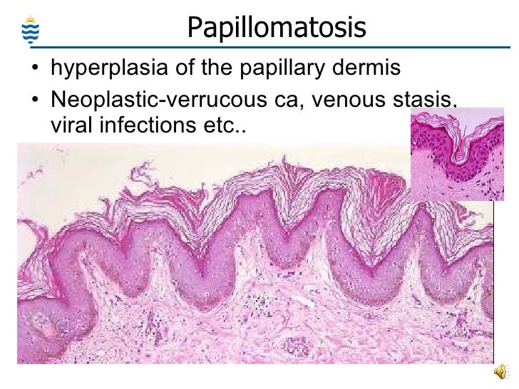 Pathology of Skin - Introduction
