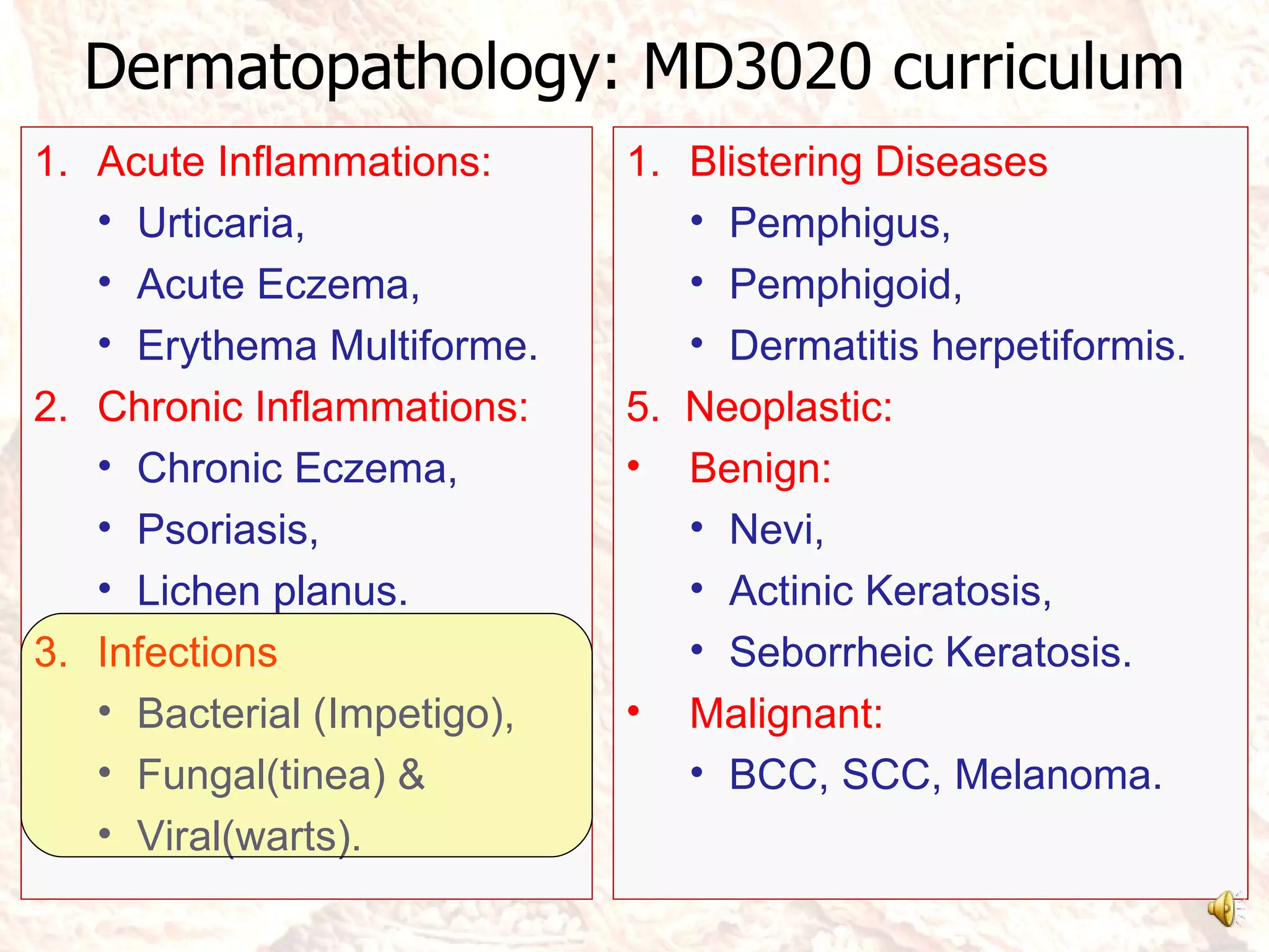 Pathology of Skin - Common Disorders | PPT