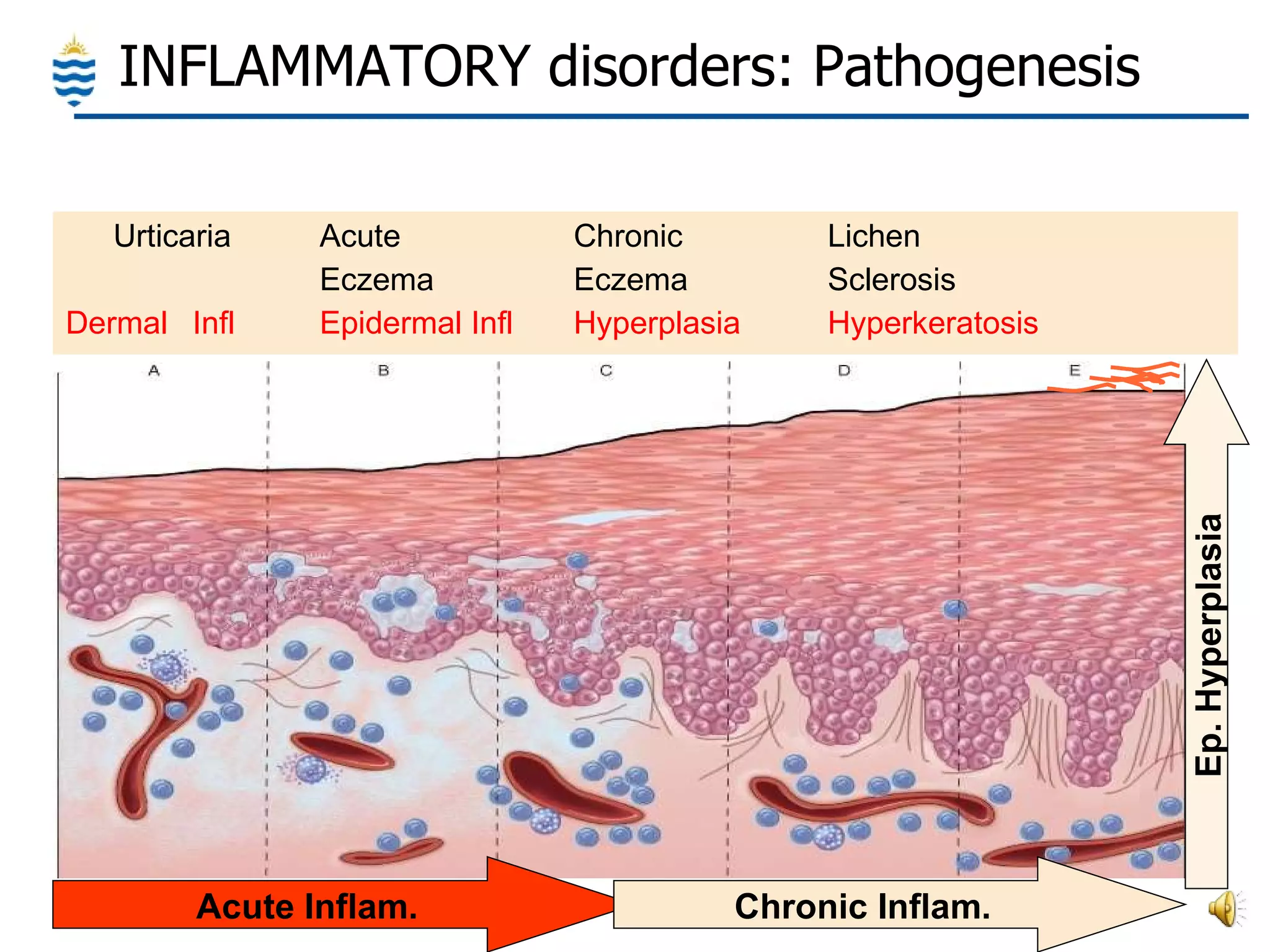 Pathology of Skin - Common Disorders | PPT