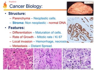 Pathology Lecture - Neoplasia | PPTX