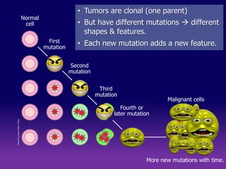 Pathology Lecture - Neoplasia | PPTX