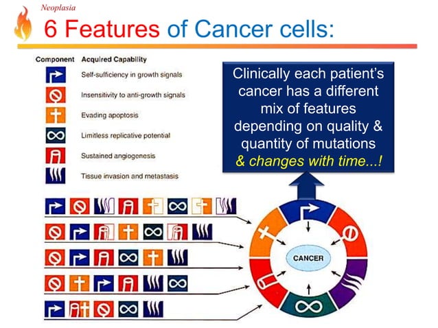 Pathology Lecture - Neoplasia | PPTX | Cancer | Diseases and Conditions