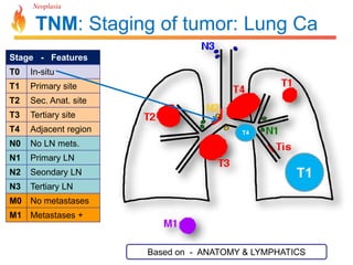 Pathology Lecture - Neoplasia | PPTX
