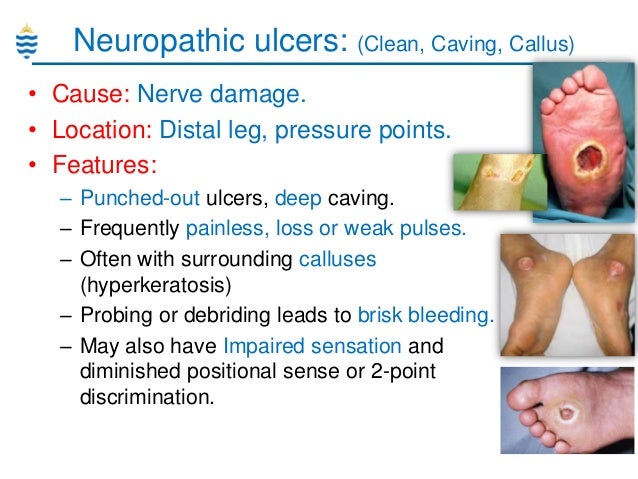 Pathology Review-Term1