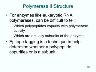 MB(5) Chapter_10 Eucaryotic RNA polymerase.ppt