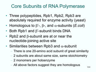 MB(5) Chapter_10 Eucaryotic RNA polymerase.ppt