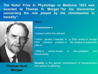 Mb 613 2 Presentation By Akmam Chowdhury | PPT