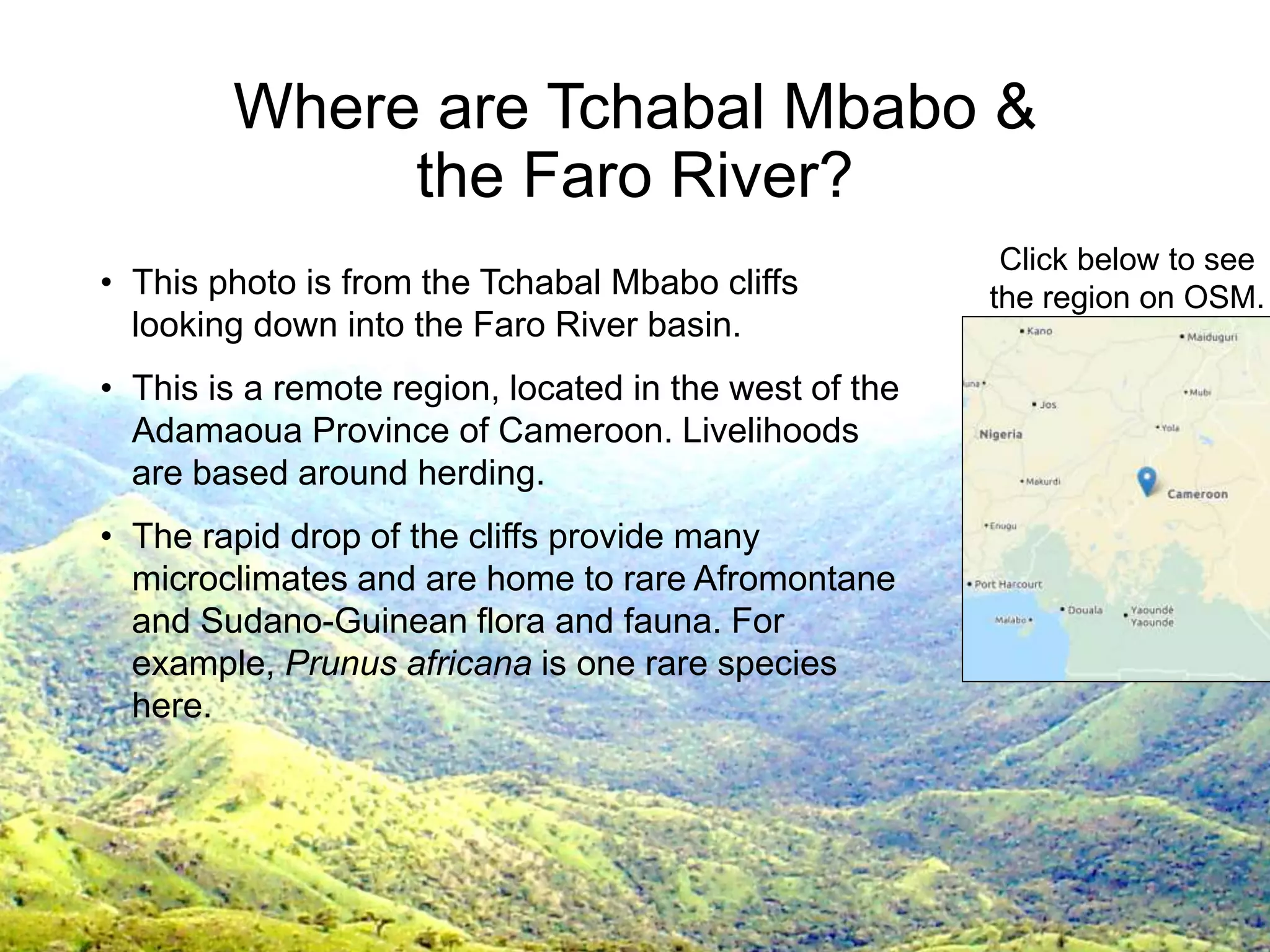 Watershed Delineation Using Arcmap Pptx