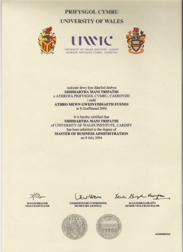 MBA Graduate Degree | PDF