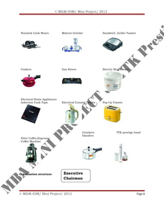 MBA mini project by Tushar N. Chole | DOC