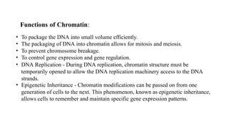 Comprehensive Overview of Chromatin Structure, Cell Division, and Cell ...