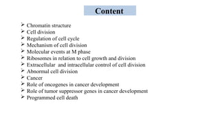 Comprehensive Overview of Chromatin Structure, Cell Division, and Cell ...