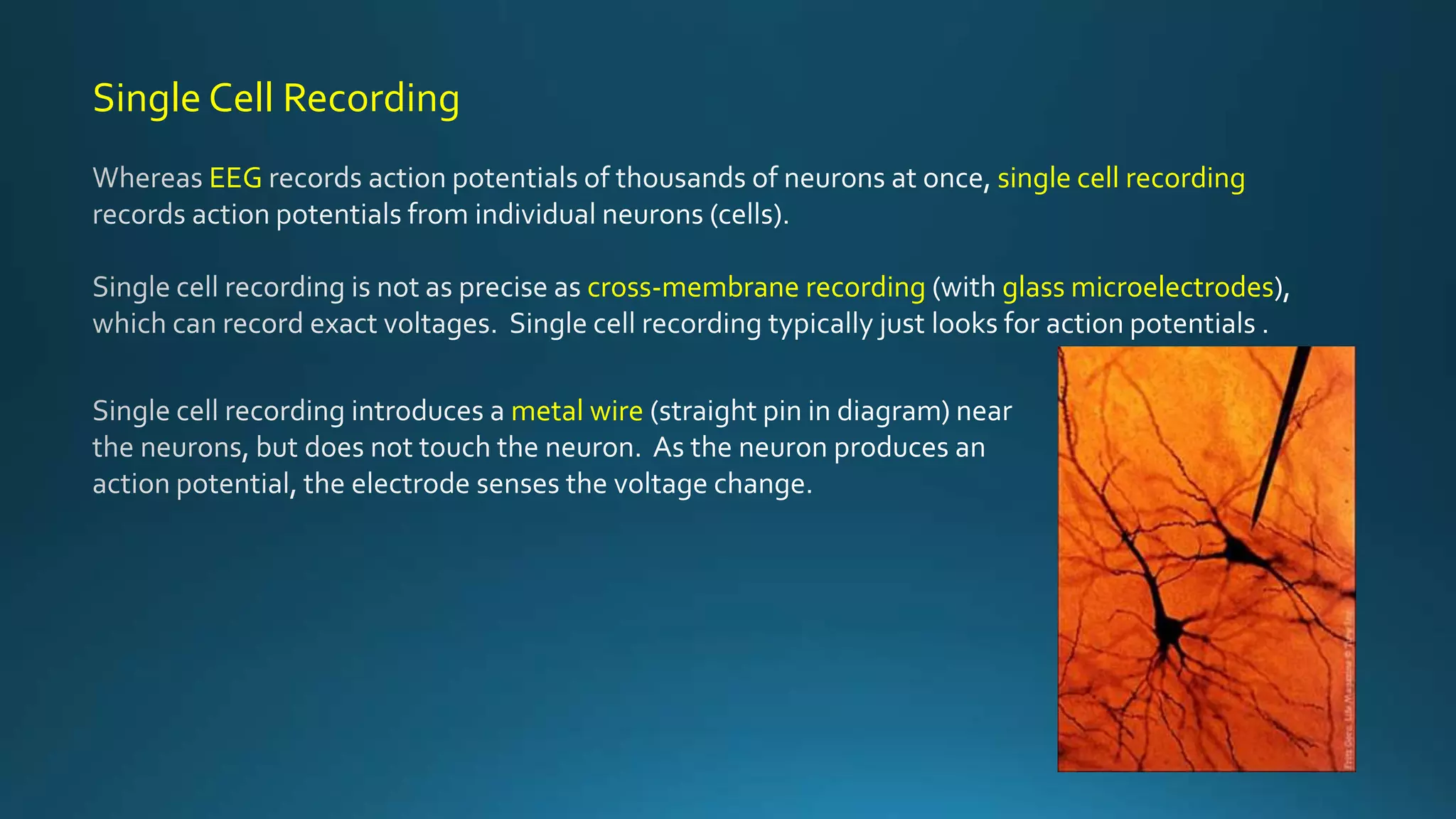 MBB 12 Single Cell Recording.pptx