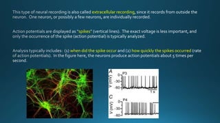 MBB 12 Single Cell Recording.pptx