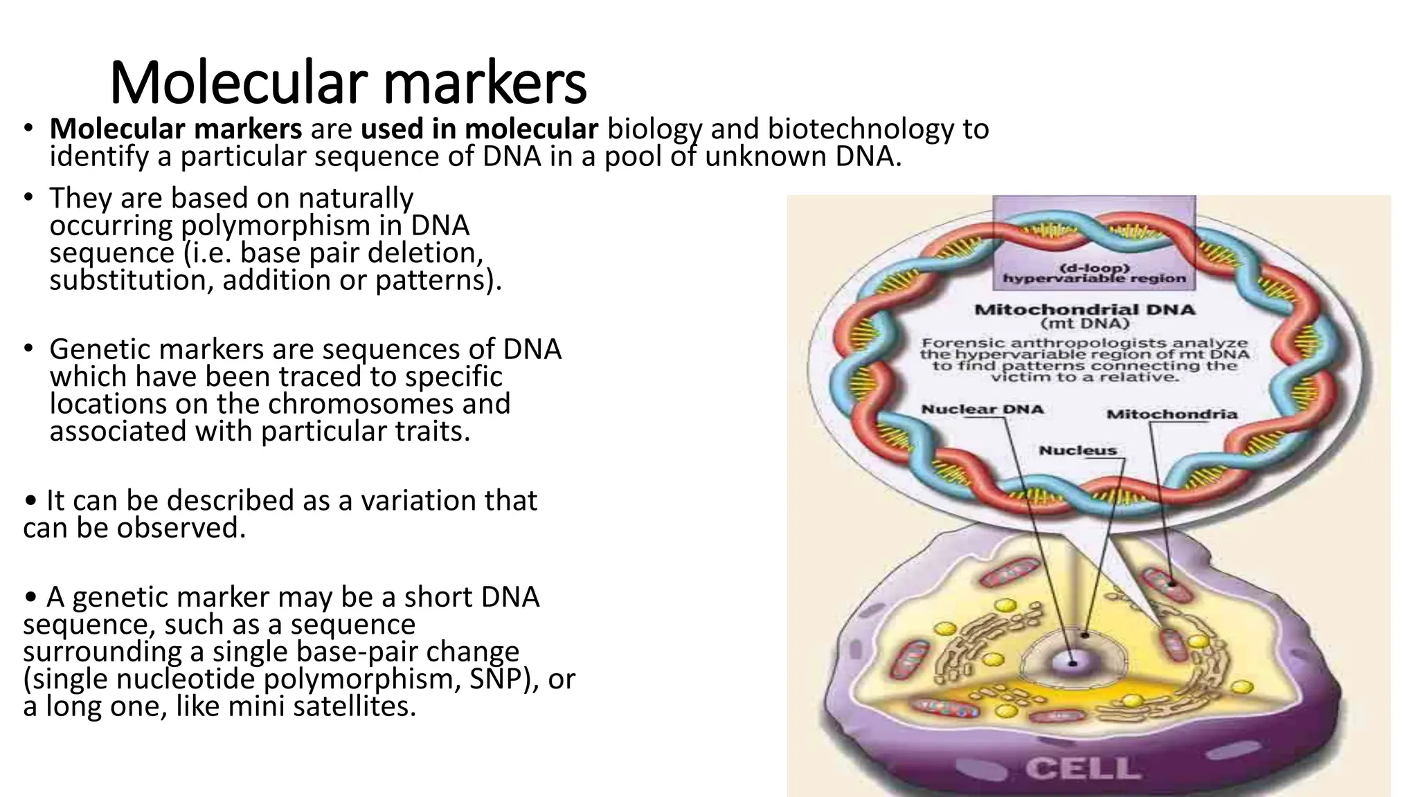 molecular biology Molecular markers (1).pptx
