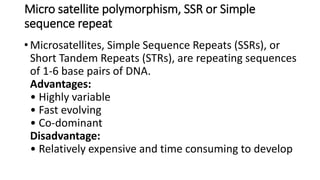 molecular biology Molecular markers (1).pptx
