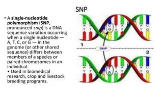 molecular biology Molecular markers (1).pptx
