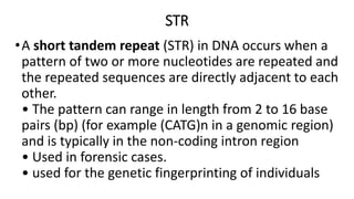 molecular biology Molecular markers (1).pptx