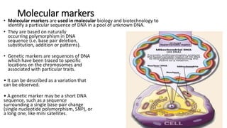 molecular biology Molecular markers (1).pptx