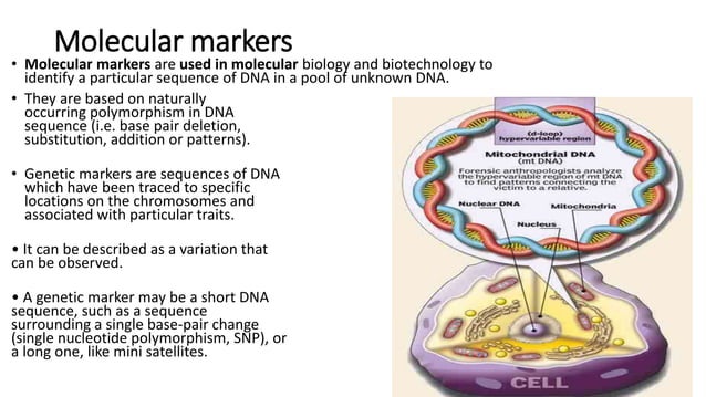 molecular biology Molecular markers (1).pptx