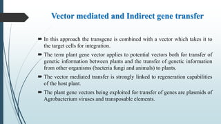 Gene Transormation techniques | PPTX | Gardening | Home & Garden