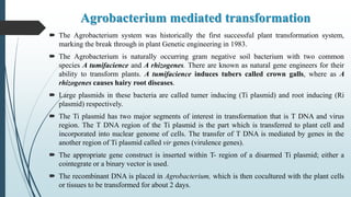 Gene Transormation techniques | PPTX