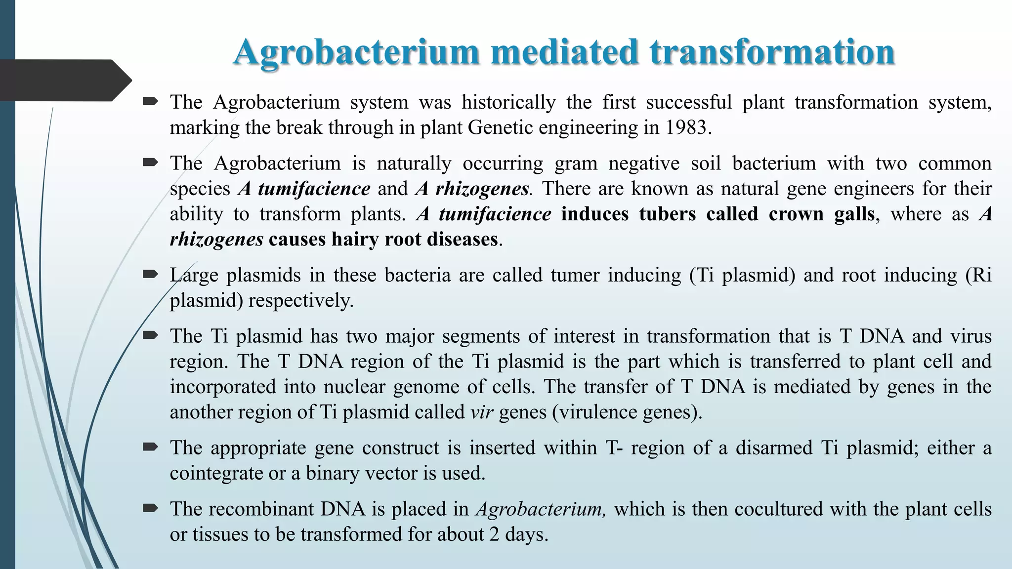 Gene Transformation Techniques | PPTX