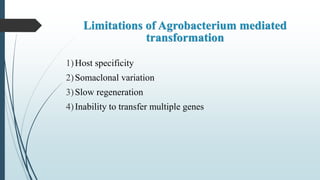 Gene Transformation Techniques | PPTX