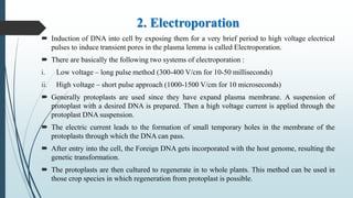 Gene Transformation Techniques | PPTX