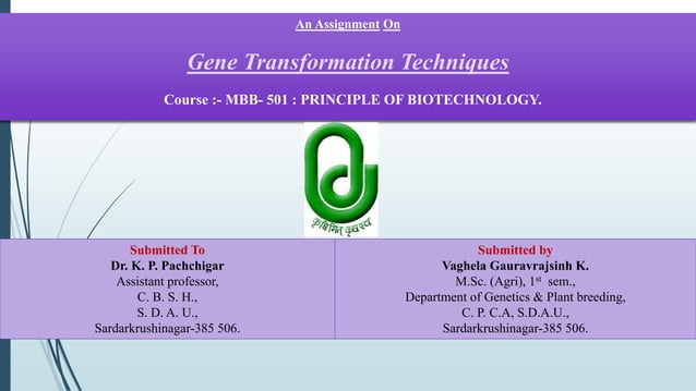 Gene Transformation Techniques | PPTX
