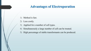 Gene Transformation Techniques | PPTX