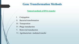 Gene Transformation Techniques | PPTX