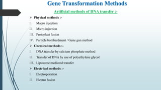 Gene Transformation Techniques | PPTX